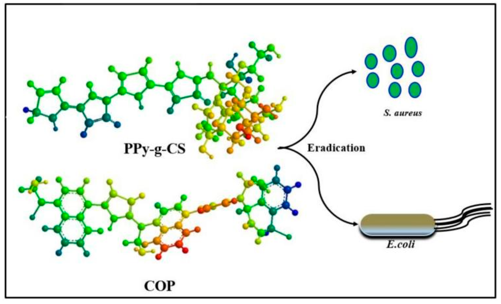 Polypyrrole Derivatives: Preparation, Properties and Application