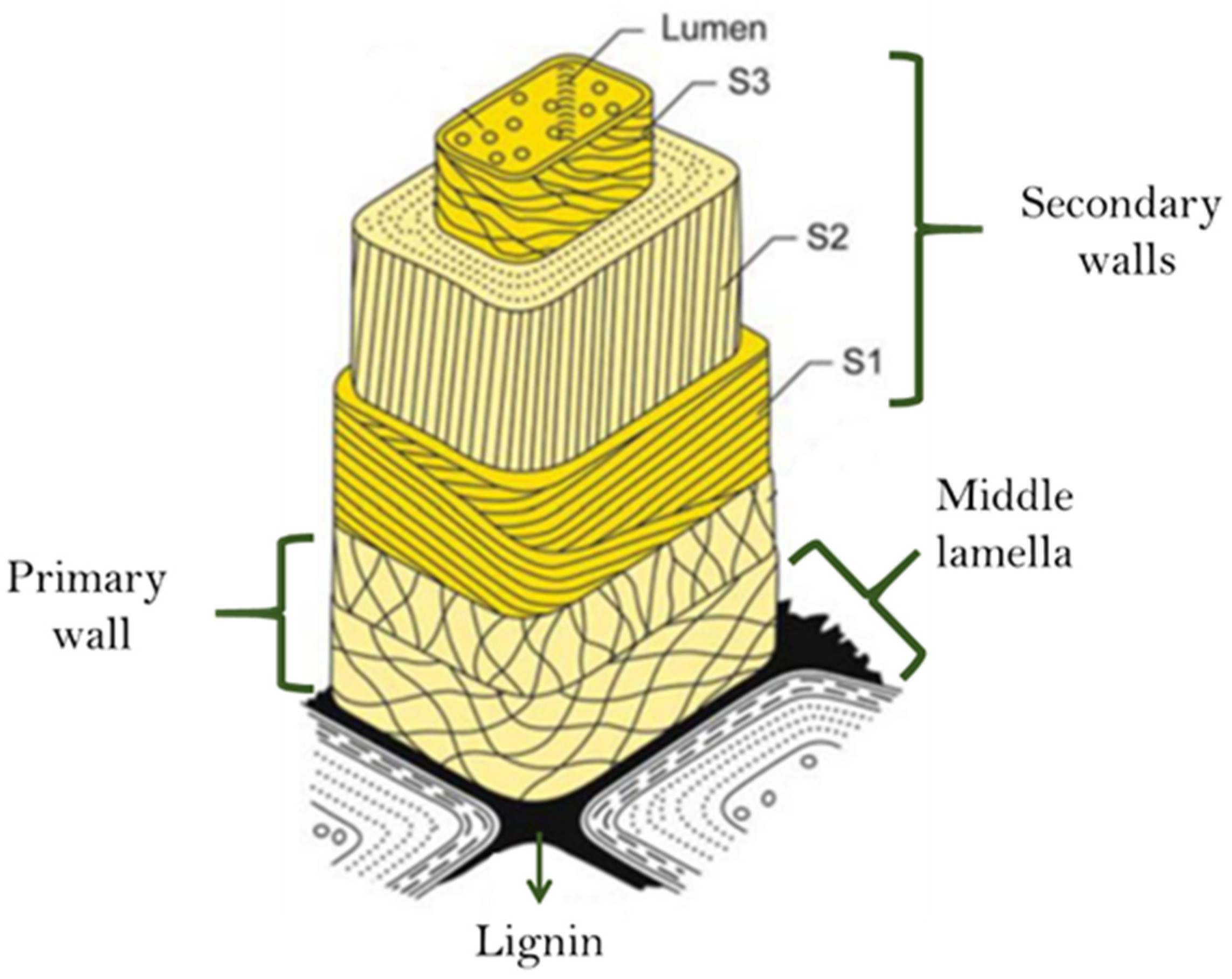 Benefits of Incorporating Lignin into Starch-Based Films: A Brief Review