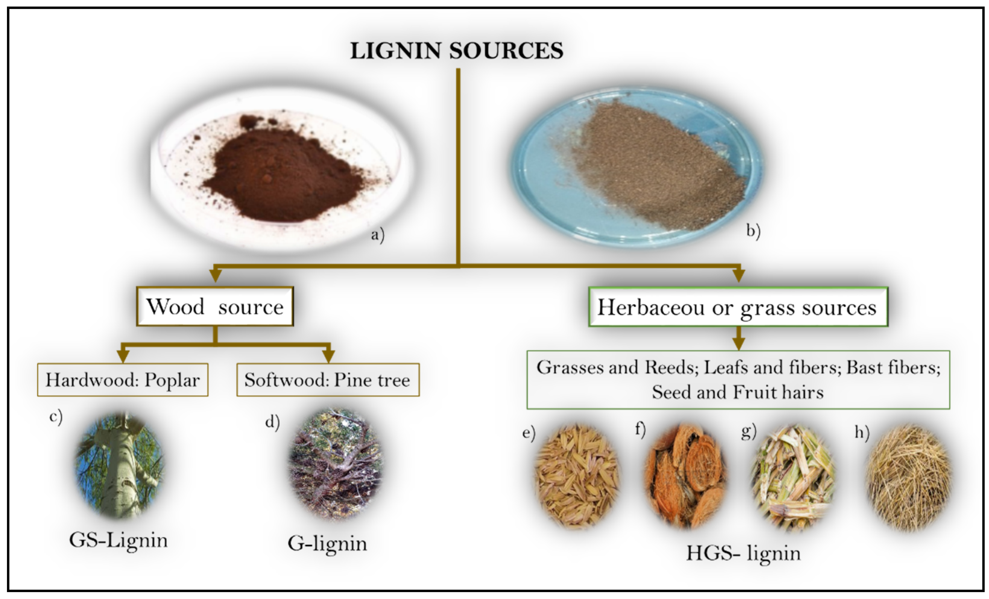 Benefits of Incorporating Lignin into Starch-Based Films: A Brief Review