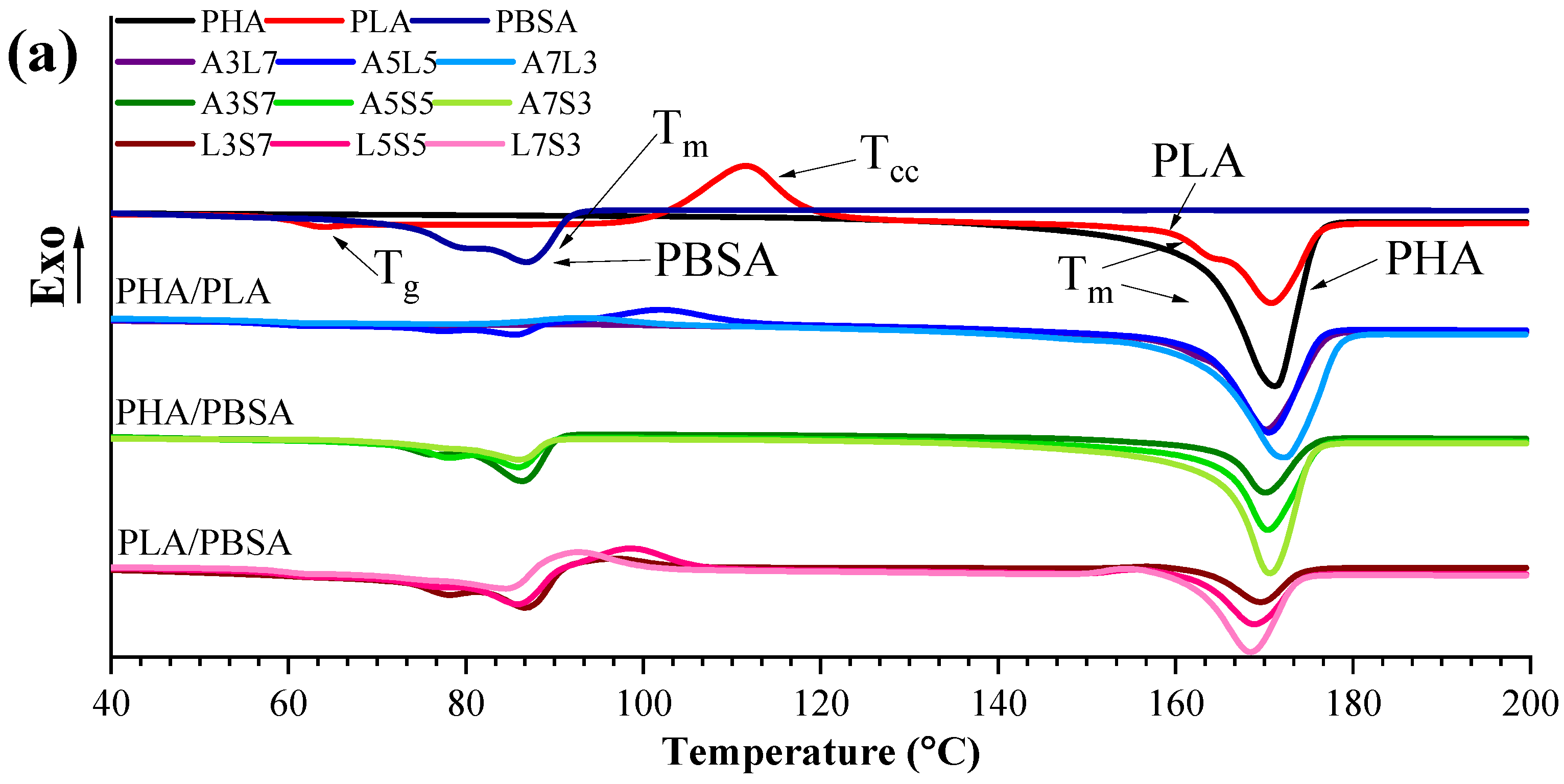 Exploring the Processing Potential of Polylactic Acid ...
