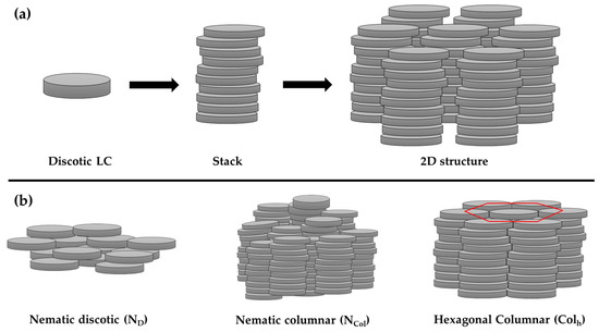 An Up-to-Date Overview of Liquid Crystals and Liquid Crystal Polymers ...