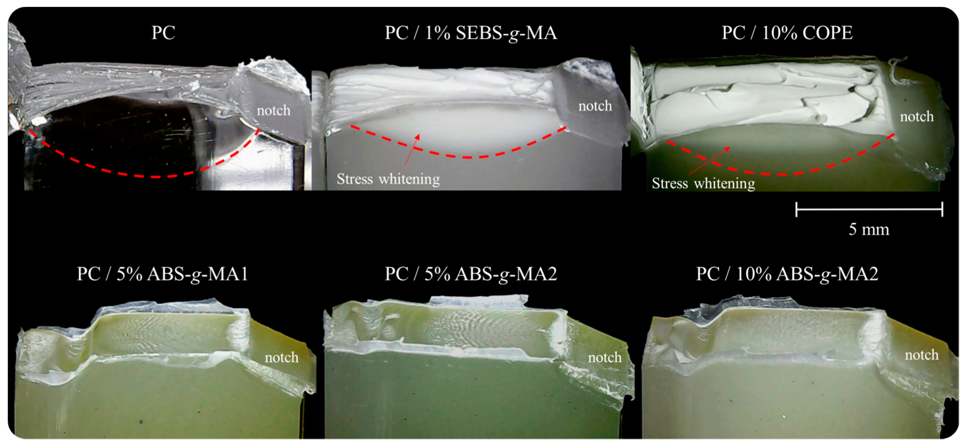 Investigation of Toughening Mechanisms in Elastomeric Polycarbonate ...