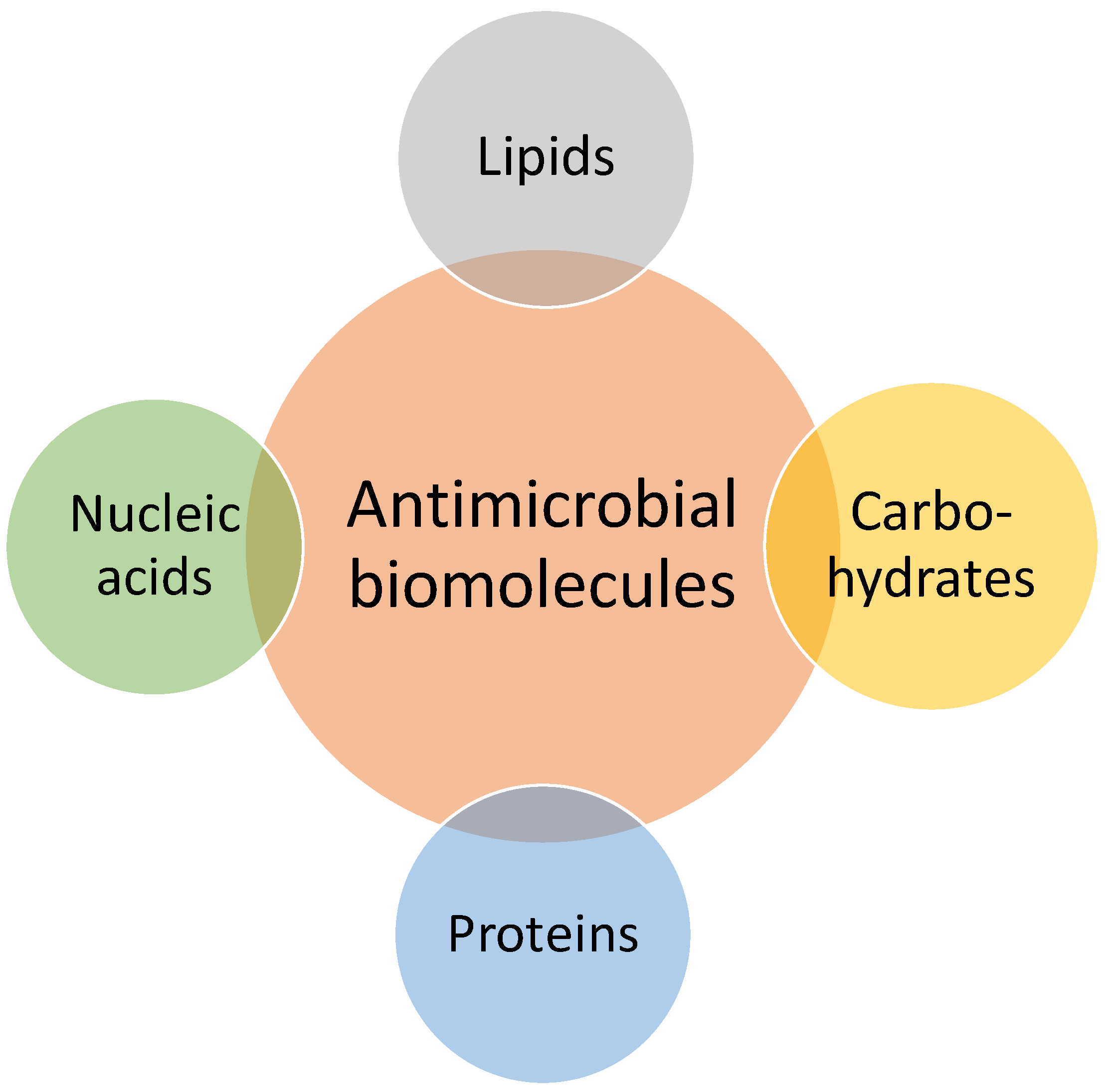 Computational Methodologies in Synthesis, Preparation and Application of Antimicrobial Polymers ...
