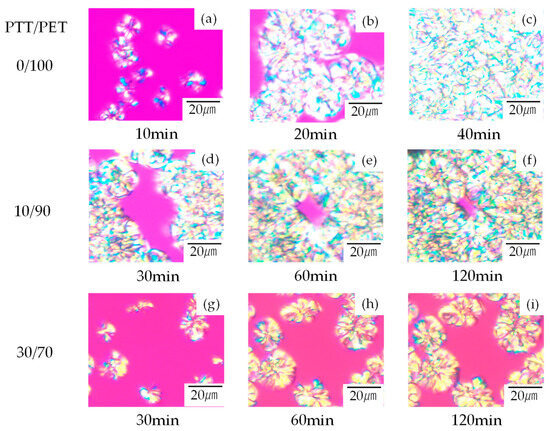 Change in Concentration of Amorphous Region Due to Crystallization in PTT/PET Miscible Blends