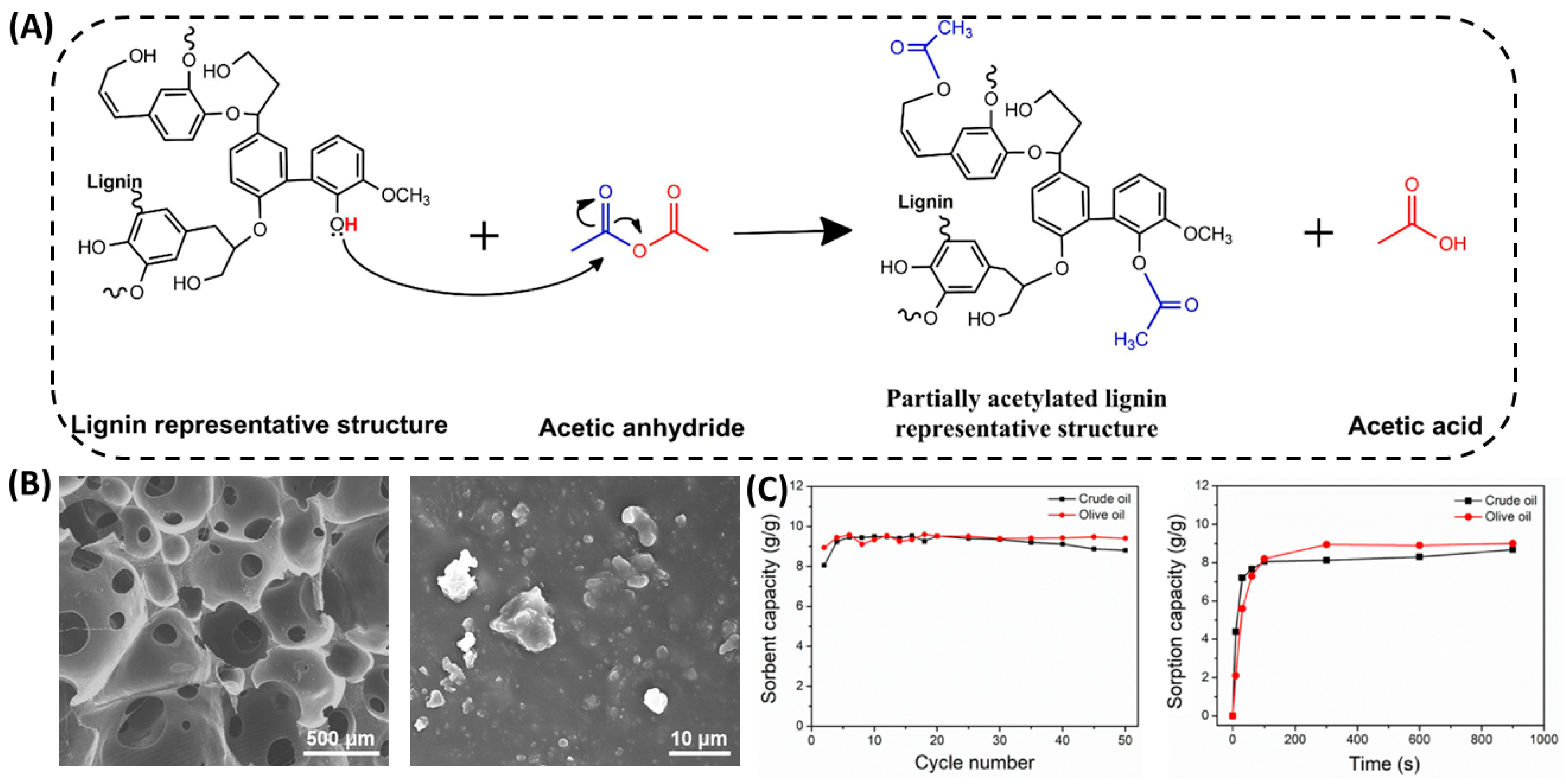 Research Status of Lignin-Based Polyurethane and Its Application in ...