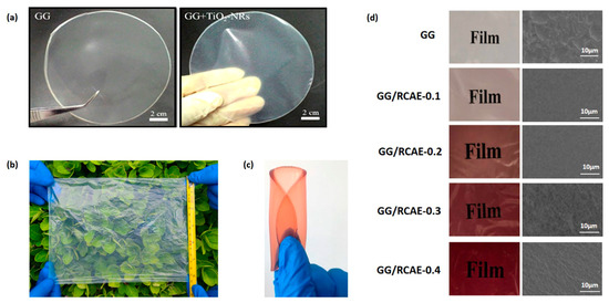 Advancements in Gellan Gum-Based Films and Coatings for Active and ...