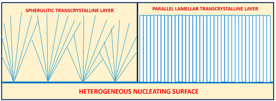 Transcrystalline Mechanism of Banded Spherulites Development in Melt ...