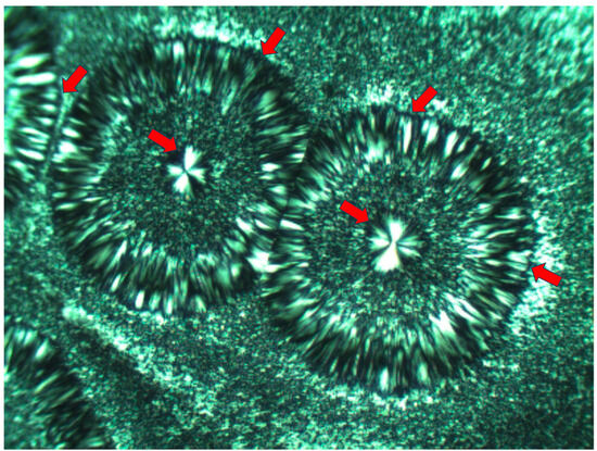 Transcrystalline Mechanism of Banded Spherulites Development in Melt ...