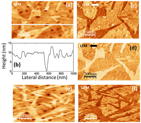 Influence of Glycerol on the Surface Morphology and Crystallinity of ...