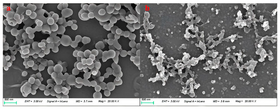 Straw Tar Epoxy Resin for Carbon Fiber-Reinforced Plastic: A Review