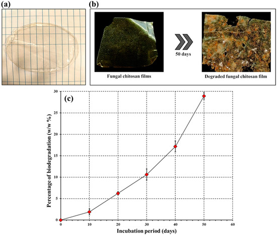 Extraction of Fungal Chitosan by Leveraging Pineapple Peel Substrate ...