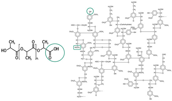 Mechanical, Thermal and Morphological Study of Bio-Based PLA Composites ...