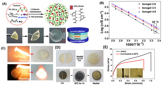 Recent Advancements in Gel Polymer Electrolytes for Flexible Energy ...