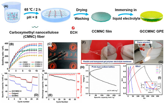 Recent Advancements in Gel Polymer Electrolytes for Flexible Energy ...