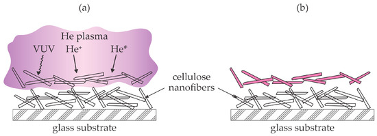 Plasma Treatment of Nanocellulose to Improve the Surface Properties