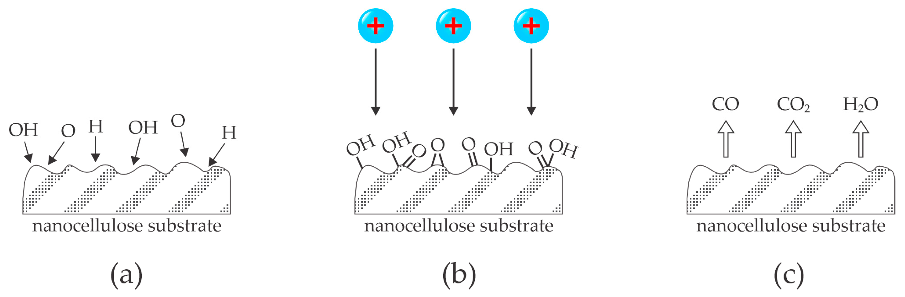 Plasma Treatment of Nanocellulose to Improve the Surface Properties
