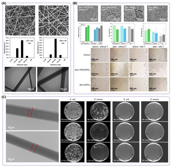 Wound Dressing with Electrospun Core-Shell Nanofibers: From Material Selection to Synthesis