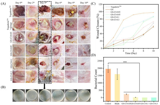 Preparation of N-Halamine Gelatin Sponge and Its Application in the ...