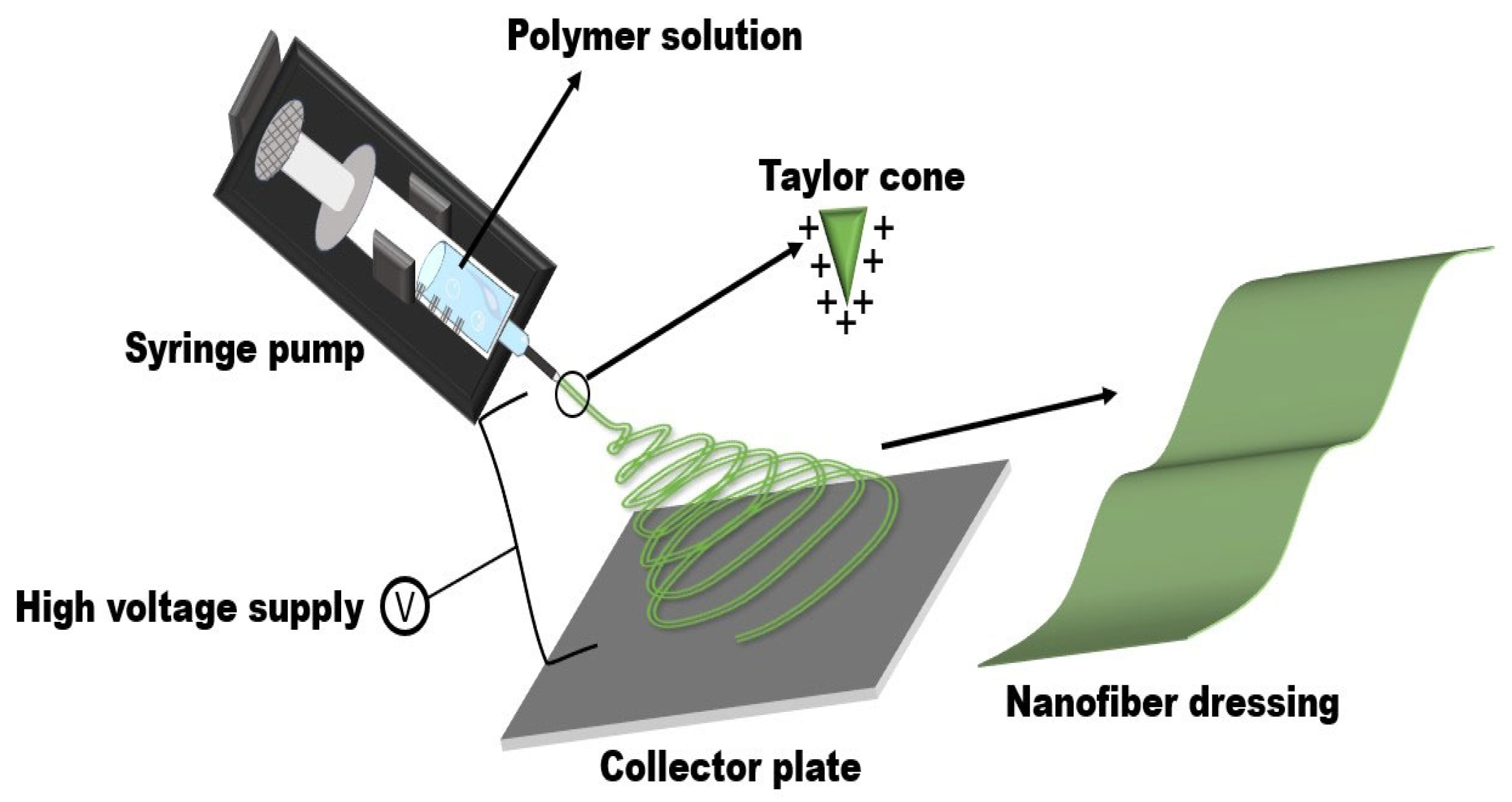 Recent Progress of Electrospun Nanofiber Dressing in the Promotion of Wound Healing
