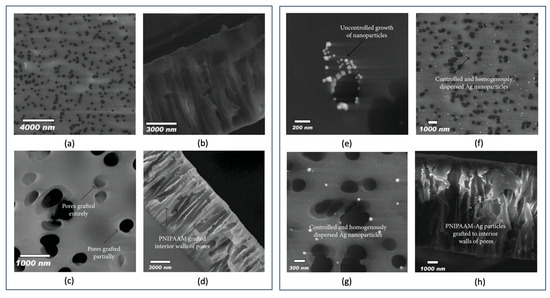 Composite Track-Etched Membranes: Synthesis and Multifaced Applications