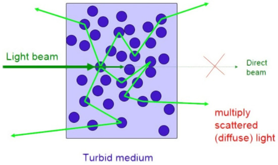 Diffusion Wave Spectroscopy Microrheological Characterization of ...