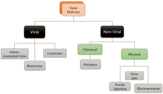 Polymers as Efficient Non-Viral Gene Delivery Vectors: The Role of the ...