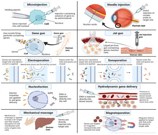Polymers as Efficient Non-Viral Gene Delivery Vectors: The Role of the ...
