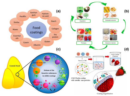 A Current Trend in Efficient Biopolymer Coatings for Edible Fruits to ...