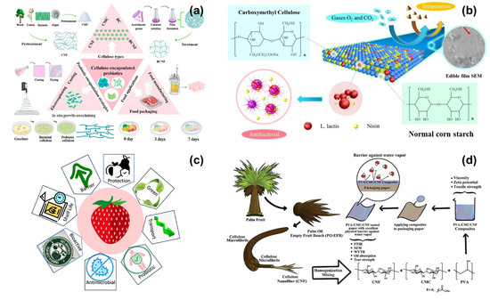 A Current Trend in Efficient Biopolymer Coatings for Edible Fruits to ...