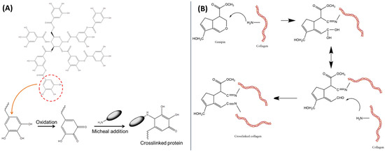 Cross-Linking Agents in Three-Component Materials Dedicated to ...