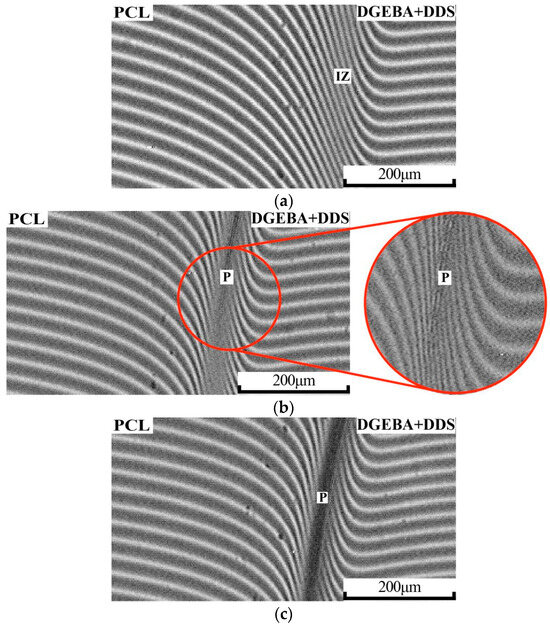Regulation of the Phase Structure in the Crystallizing Curing System ...