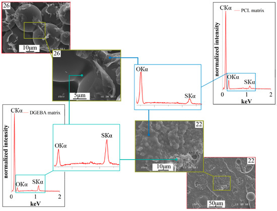 Regulation of the Phase Structure in the Crystallizing Curing System ...