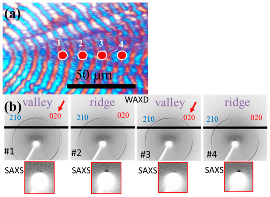 Microbeam X-ray and Scanning Electron Microscopic Analyses on Sector ...