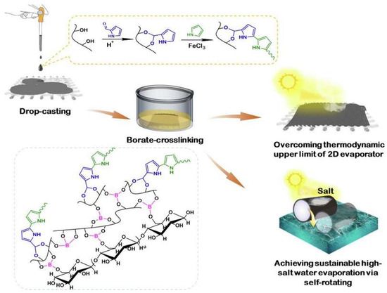 Polyvinyl Alcohol (PVA)-Based Hydrogels: Recent Progress in Fabrication ...