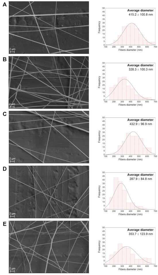 Magnetic Nanoparticles in Biopolymer Fibers: Fabrication Techniques and ...