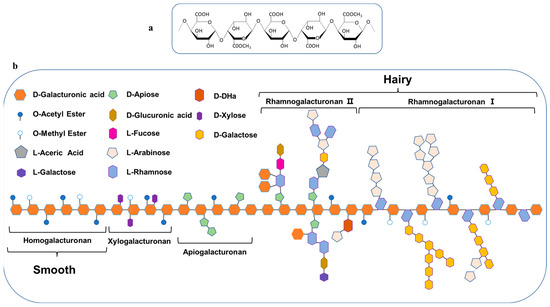Source, Extraction, Properties, and Multifunctional Applications of ...