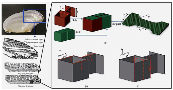 A Review of the Biomimetic Structural Design of Sandwich Composite ...