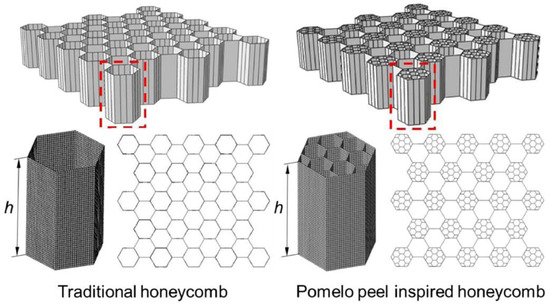 A Review of the Biomimetic Structural Design of Sandwich Composite ...