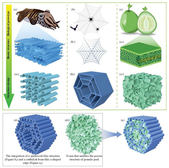 A Review of the Biomimetic Structural Design of Sandwich Composite ...