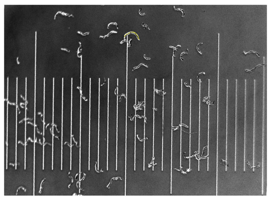 Highly Filled Waste Polyester Fiber/Low-Density Polyethylene Composites ...