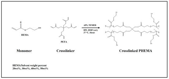 Poly(HEMA-co-MMA) Hydrogel Scaffold for Tissue Engineering with ...