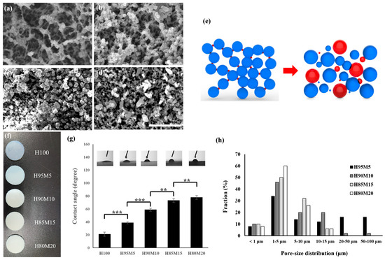 Poly(HEMA-co-MMA) Hydrogel Scaffold for Tissue Engineering with Controllable Morphology and ...