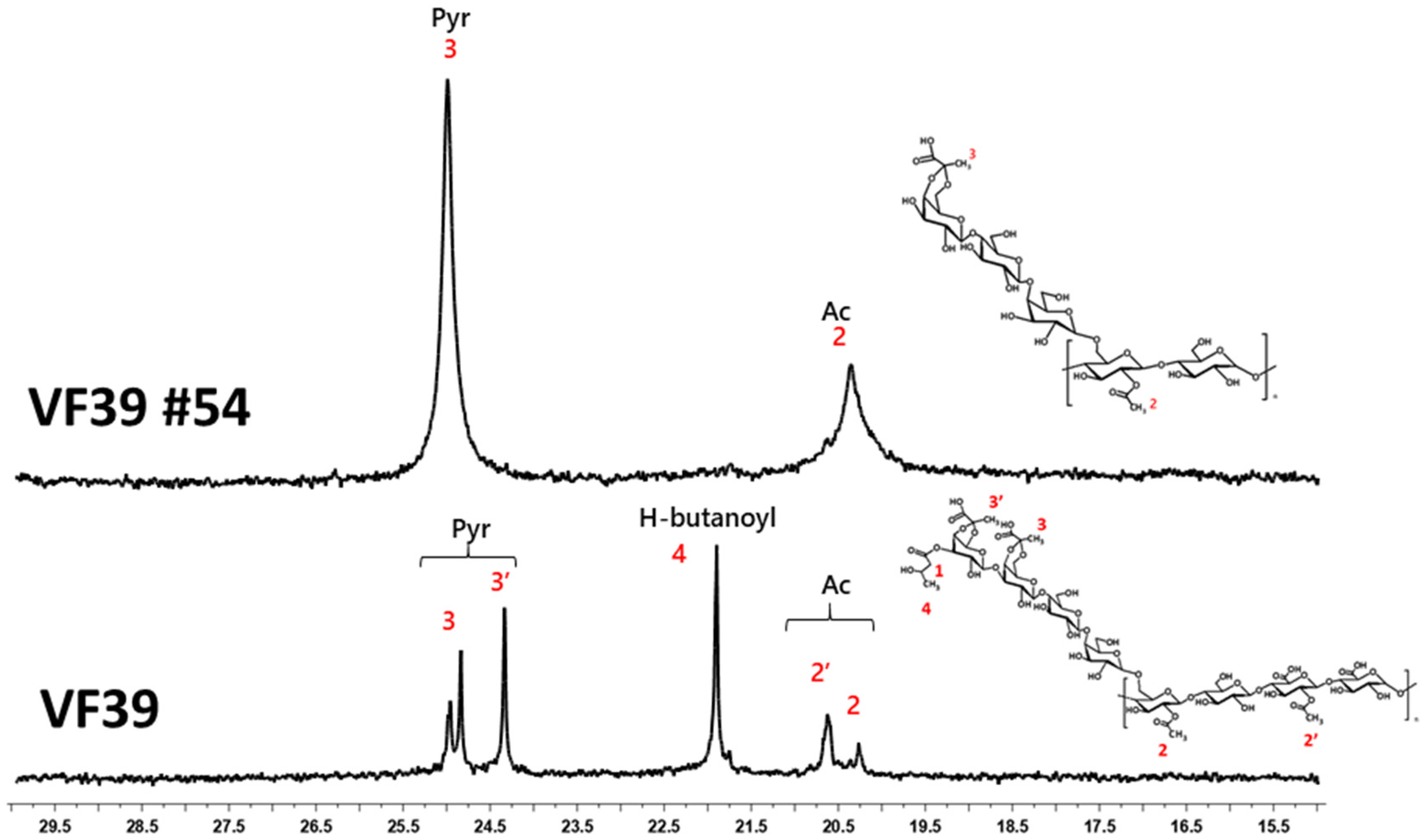 Enhanced Rheological and Structural Properties of the Exopolysaccharide from Rhizobium ...