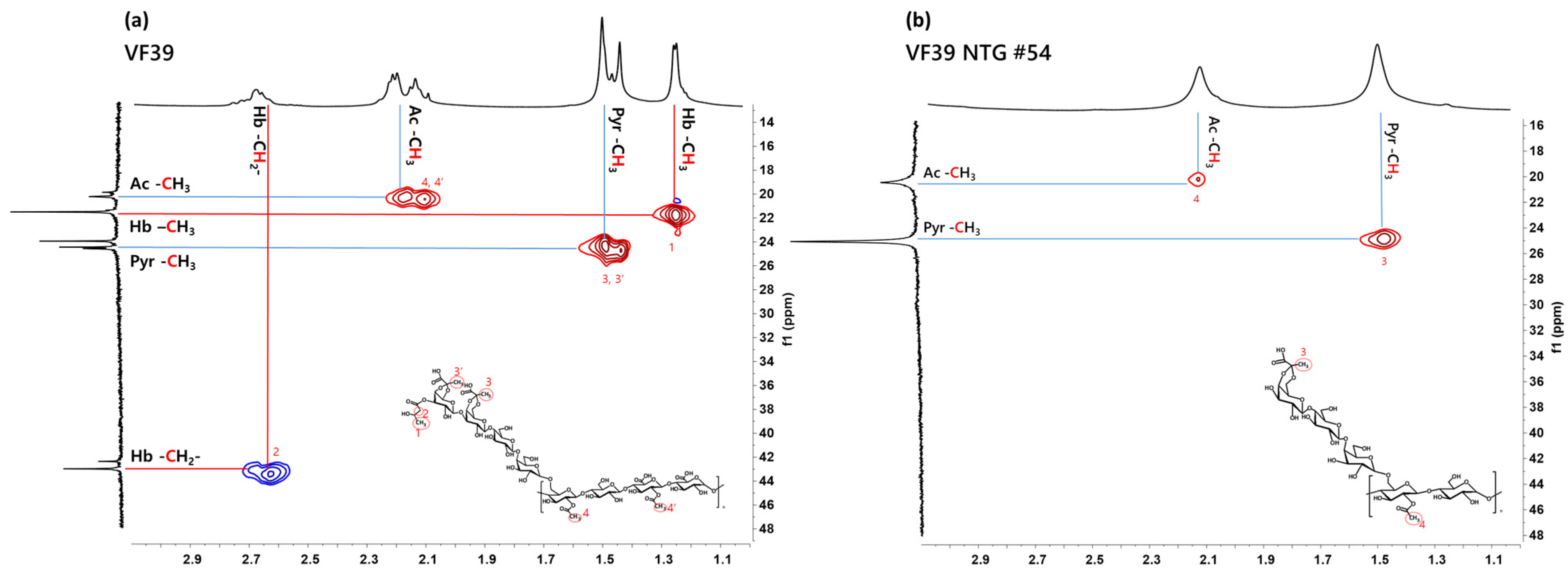 Enhanced Rheological and Structural Properties of the Exopolysaccharide ...