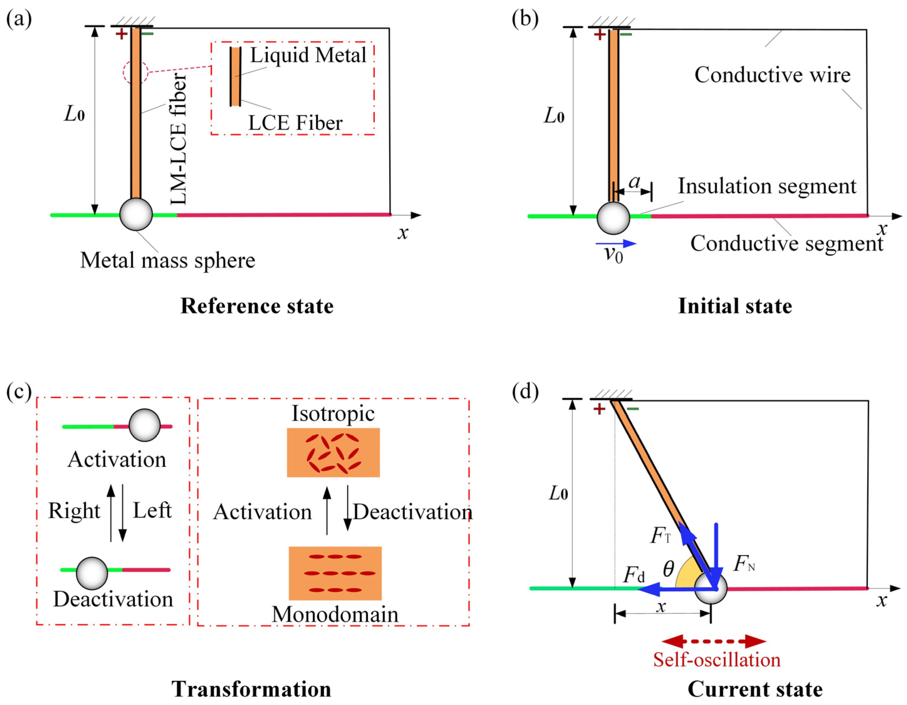 A Self-Oscillator Based on Liquid Crystal Elastomer Fiber Under ...