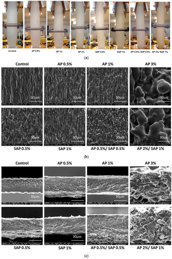 Biodegradable TPS/PBAT Blown Films with Ascorbyl Palmitate and Sodium ...