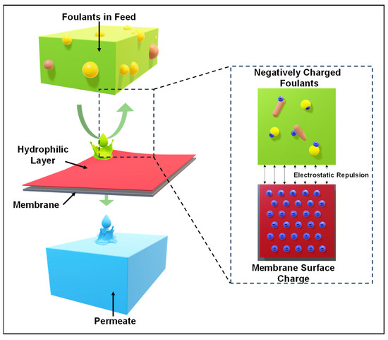 Polymeric Membranes for Liquid Separation: Innovations in Materials ...