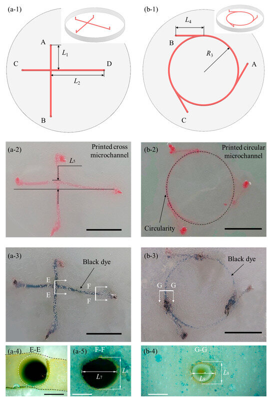 Embedded 3D Printing for Microchannel Fabrication in Epoxy-Based ...