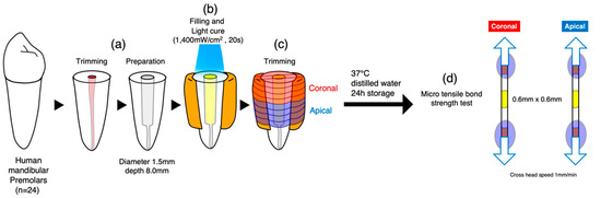 Bonding Performance of a New Resin Core System with a Low ...