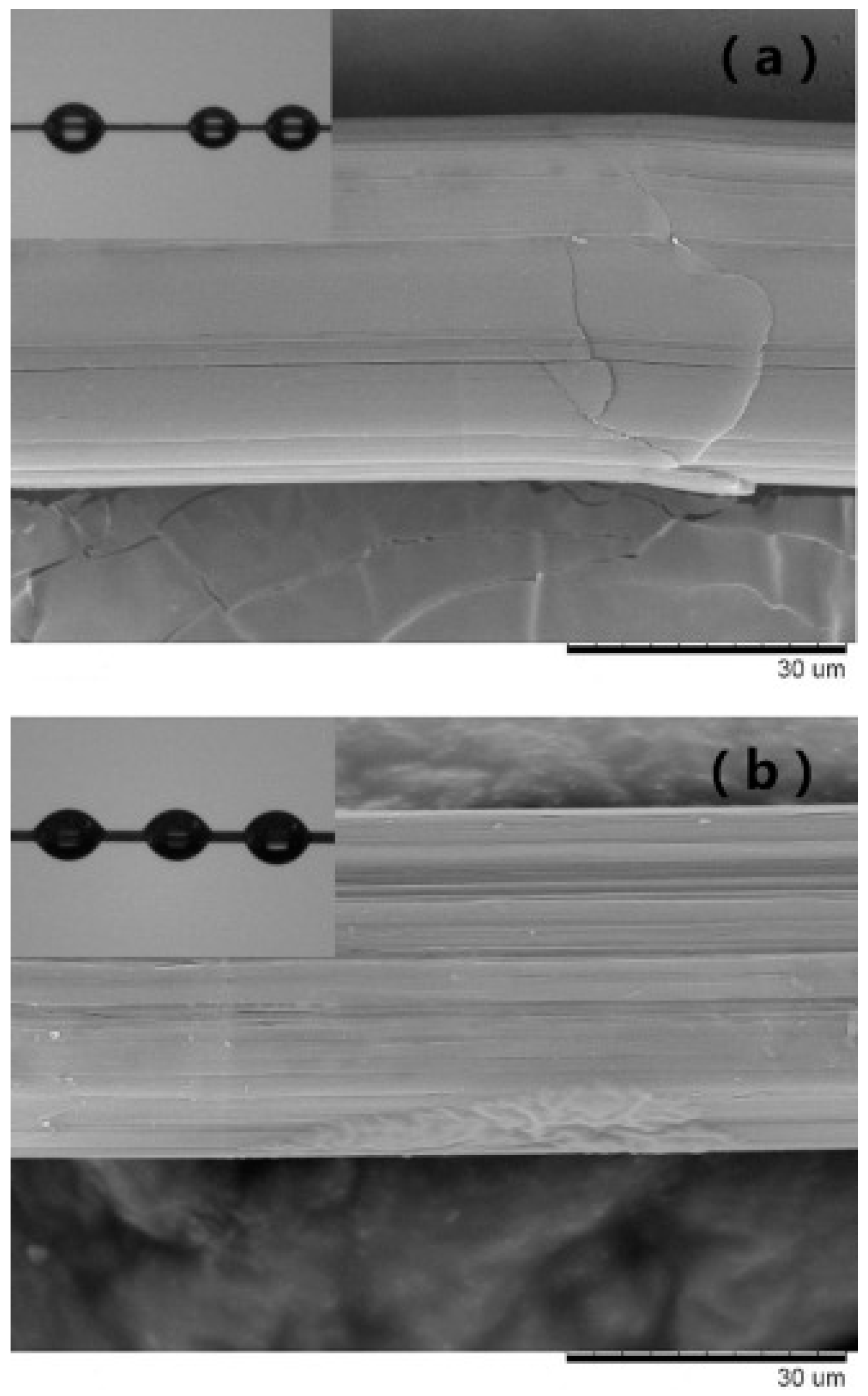 Surface Modification of Ultra-High-Molecular-Weight Polyethylene and Applications: A Review